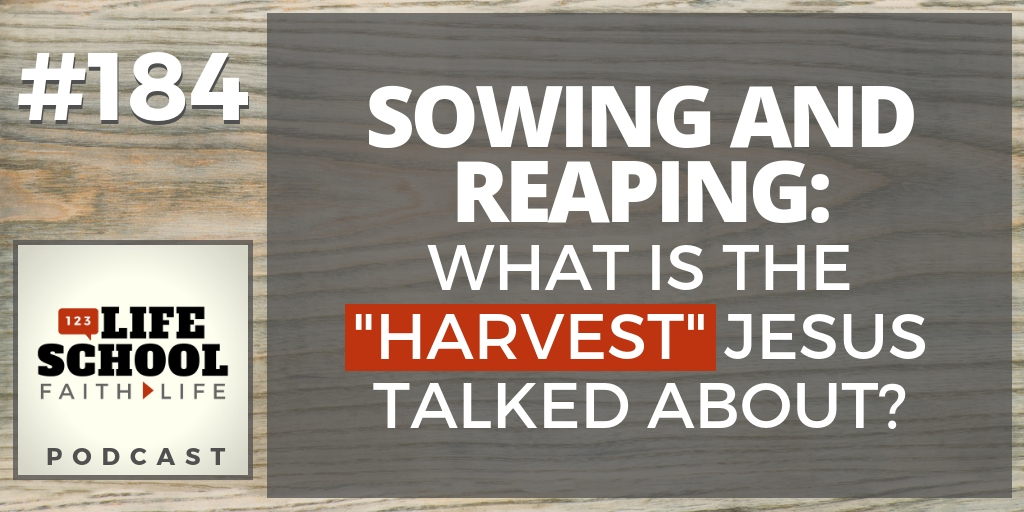 184: Sowing and Reaping: What is the “Harvest” Jesus Talked About ...